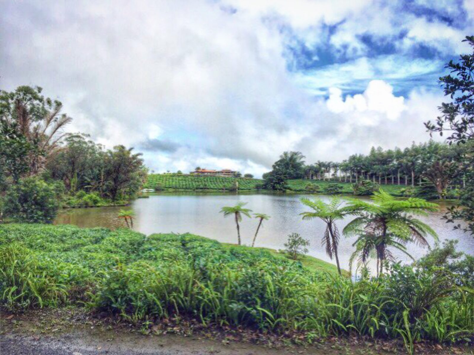 Que voir et que faire : les visites incontournables de l'île Maurice